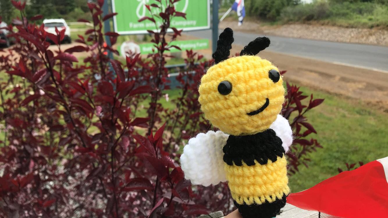 Busy Bees | Groovy Goat Farm & Soap Company – Ingonish Nova Scotia Canada